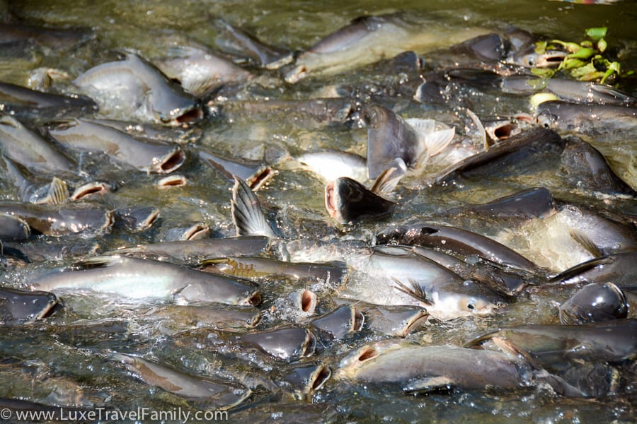 Explore Bangkok by Long Tail Boat
